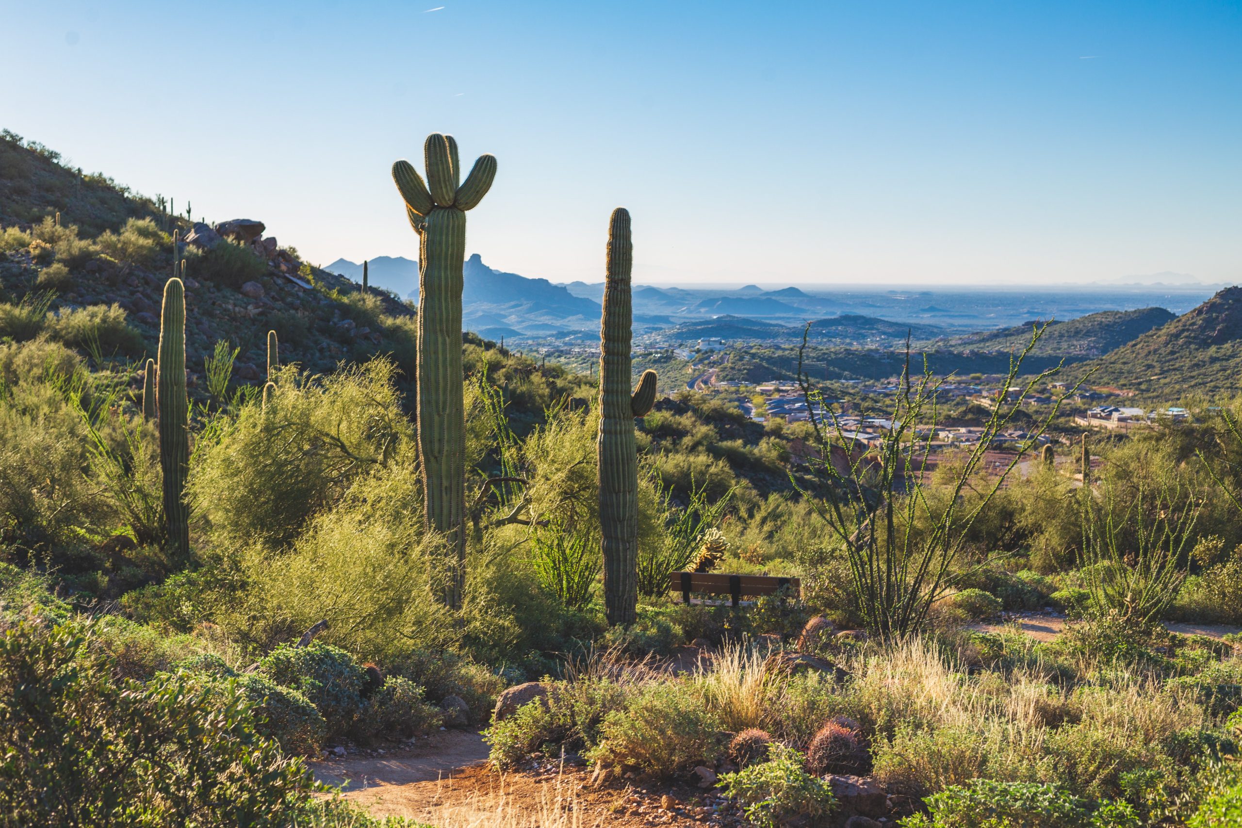 Explore Phoenix, Arizona: The Ultimate Guide to the Desert City ...