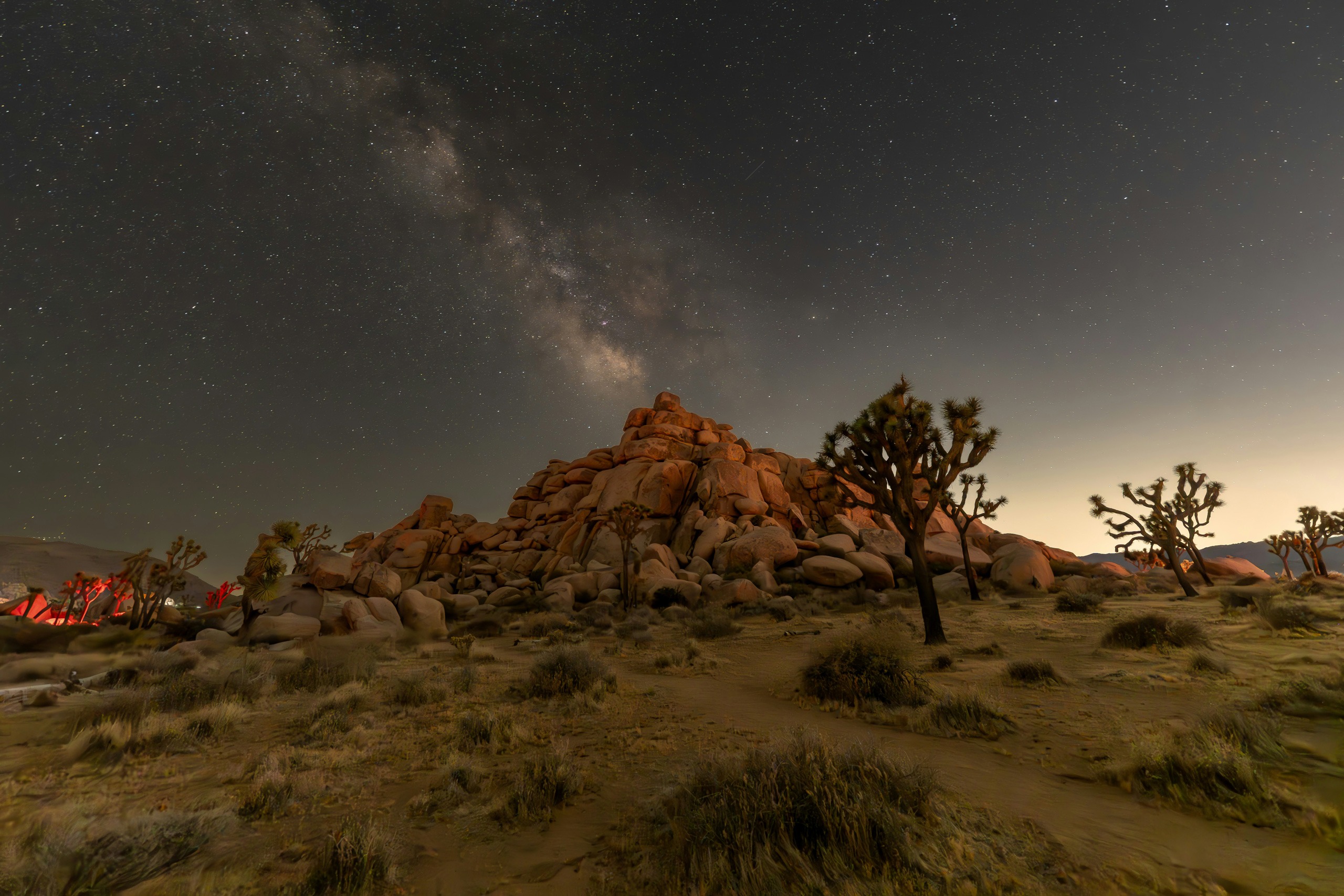 Discover the Magic of Stargazing in Joshua Tree National Park: A ...